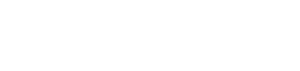Graphic identity - Enabel - Belgian Agency for Development Cooperation
