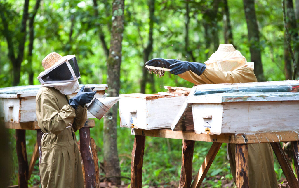 Tanzania - Enabel - Belgian Development Agency