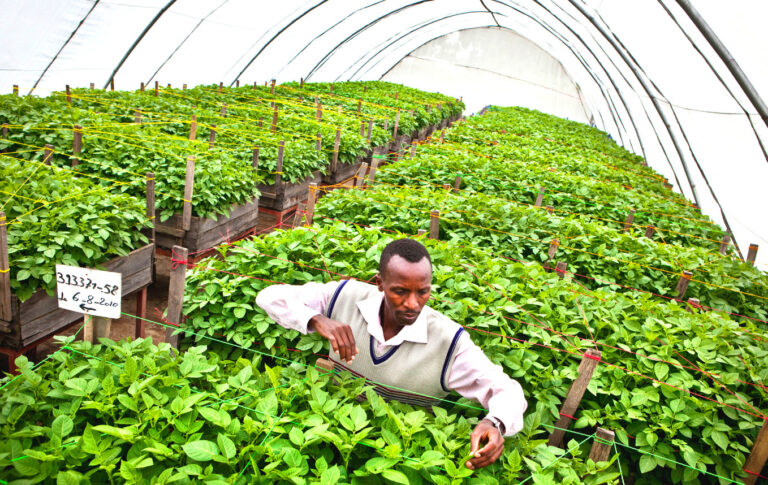 Rwanda - Enabel - Belgian Agency for Development Cooperation