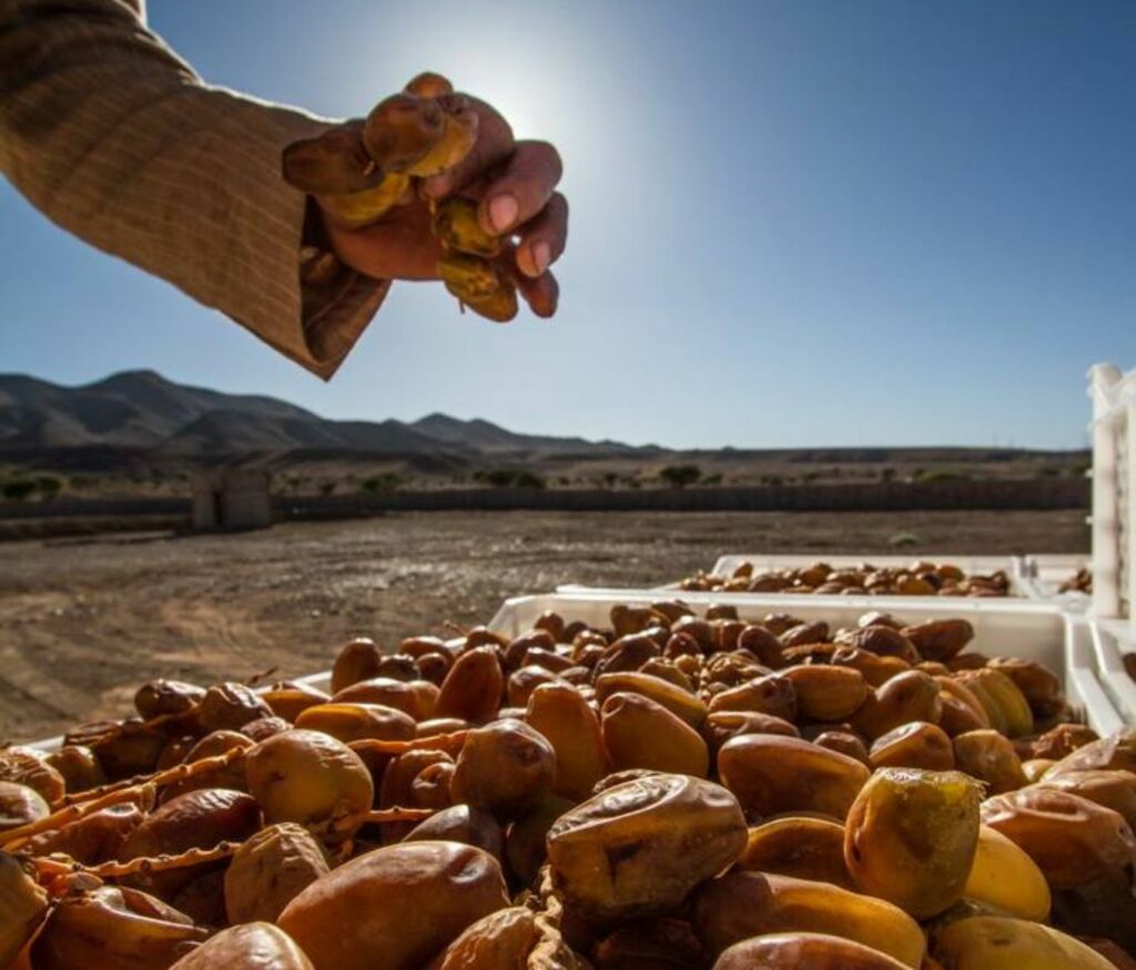 Maroc - Enabel - Agence belge de coopération internationale