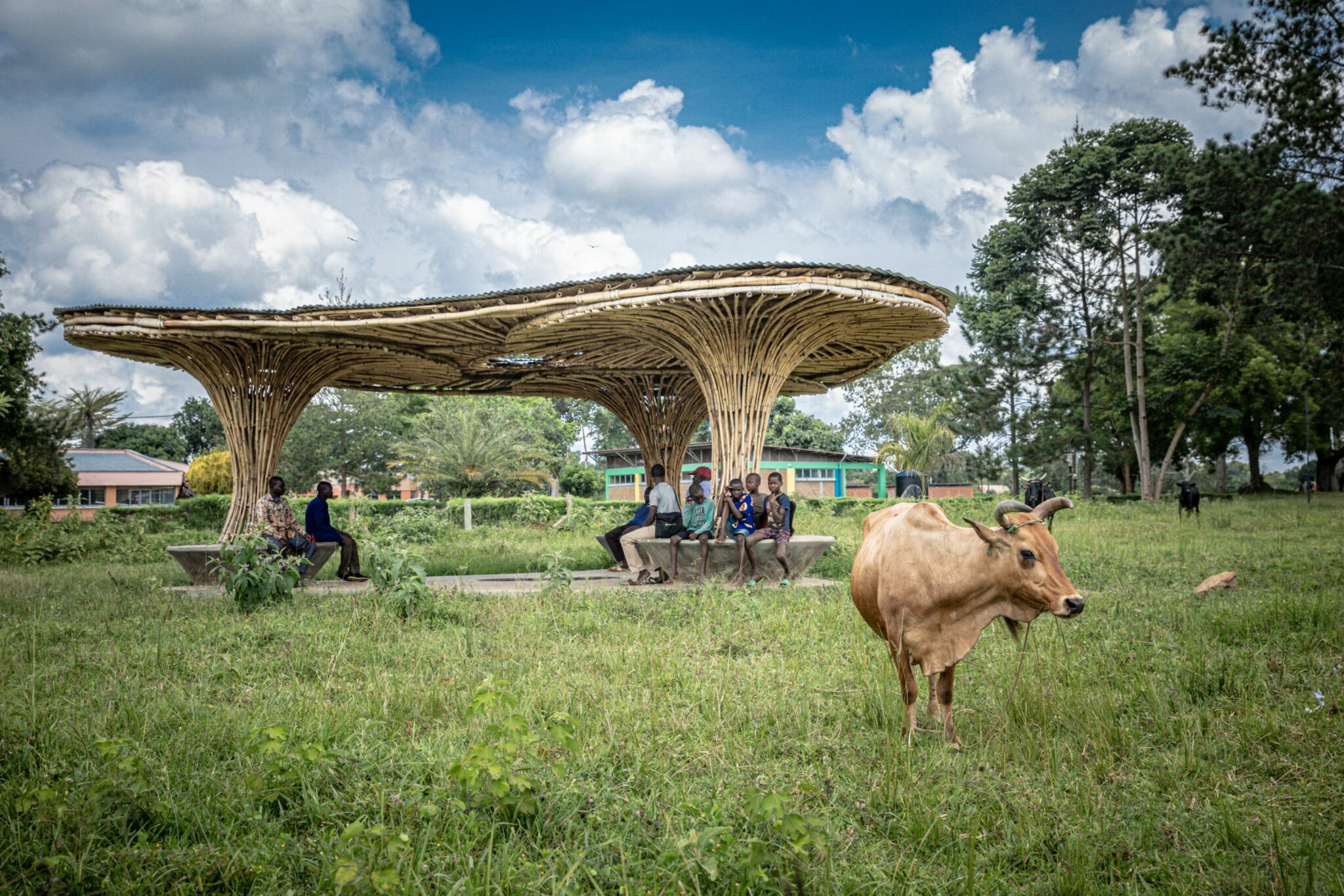 Ugandan infrastructure project wins Architizer award - Enabel - Belgian ...
