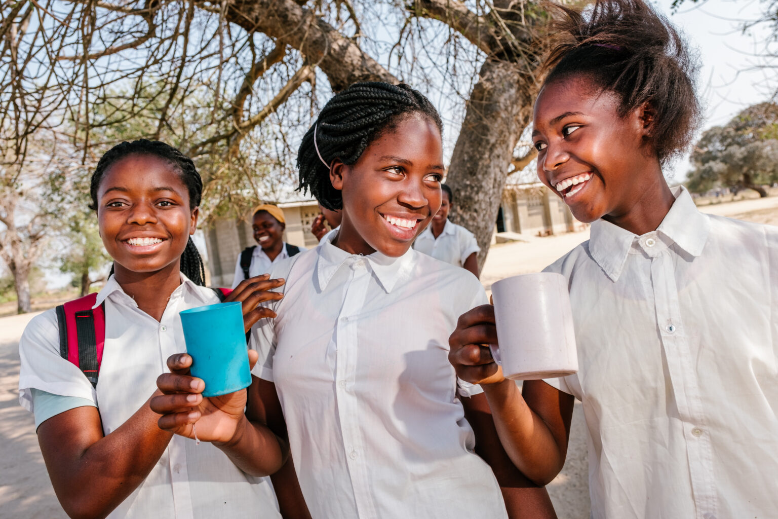 Enabel's Gender Strategy 2019-2023 - Enabel - Belgian Agency for ...