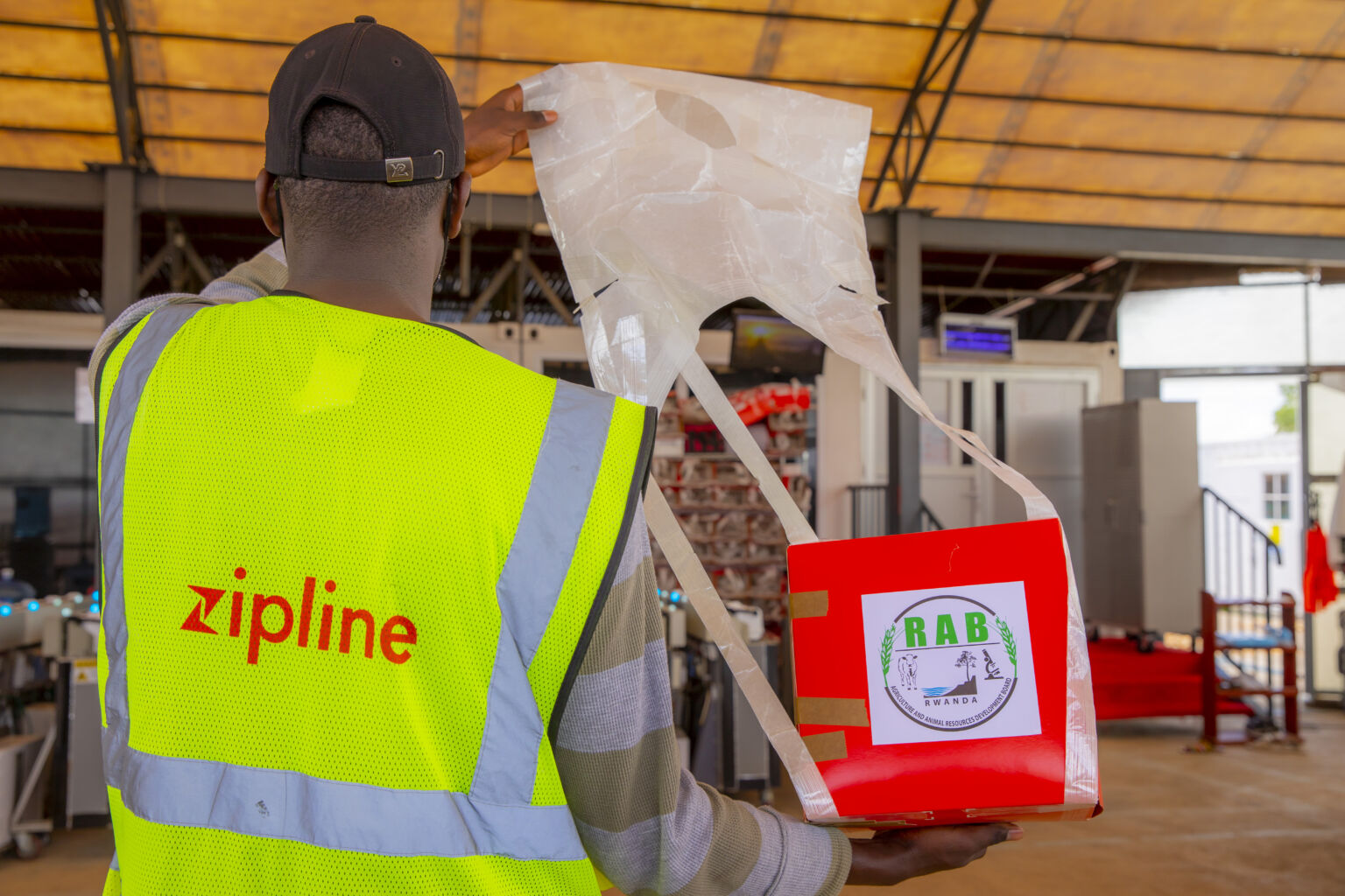 Pigs do fly as boar semen takes to the skies in Rwanda - Enabel ...