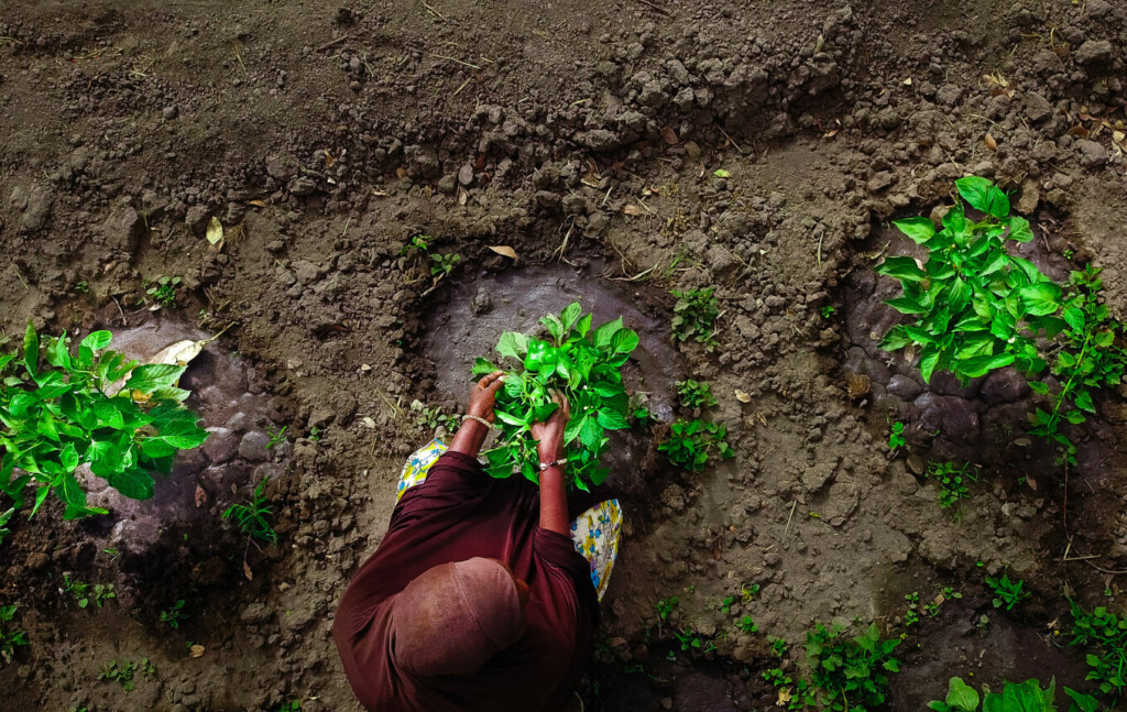 Belgium and Sweden launch Co-Presidency of the Practitioners’ Network for European Development ...