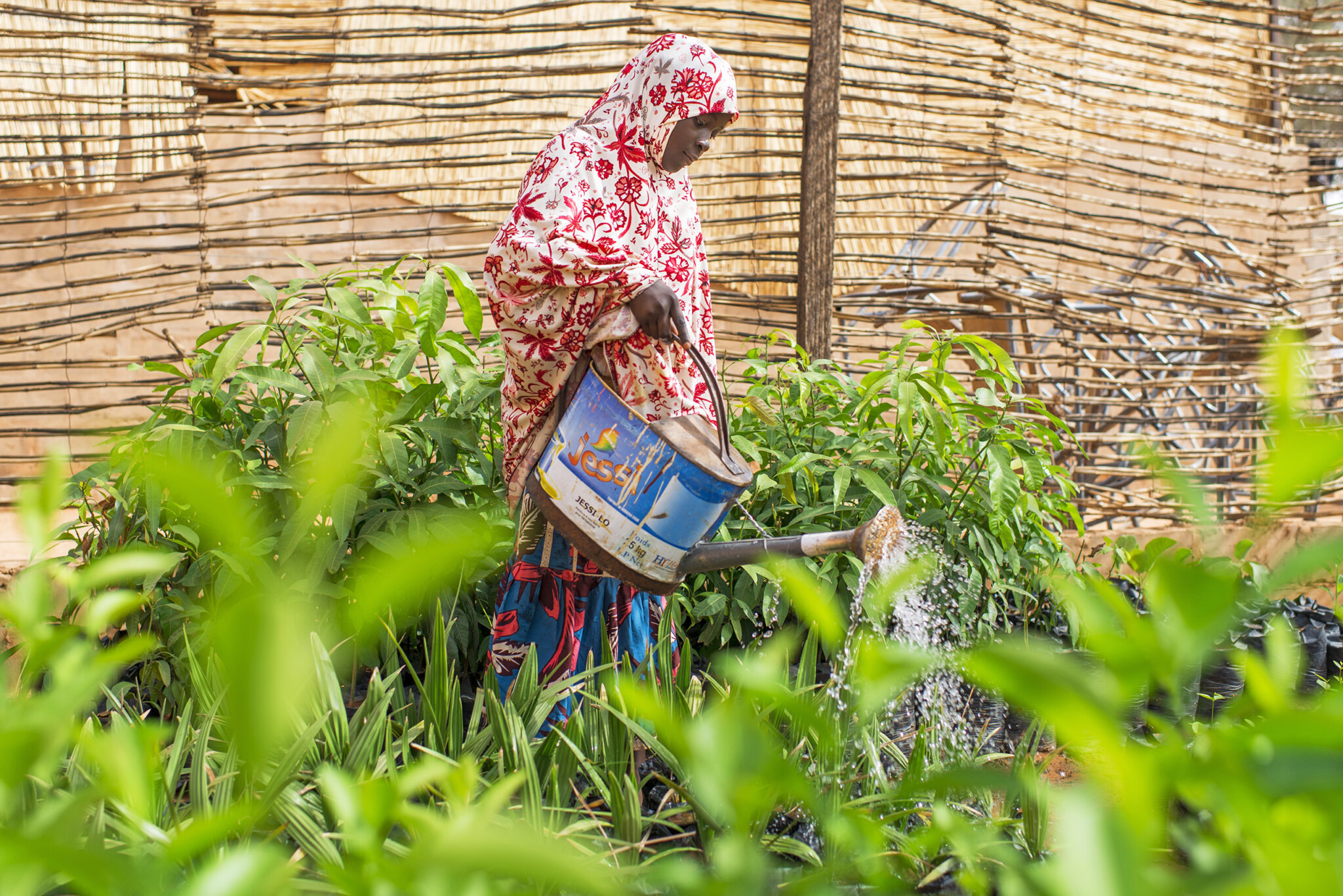 Fighting desertification: local solutions, regional impact - Enabel ...